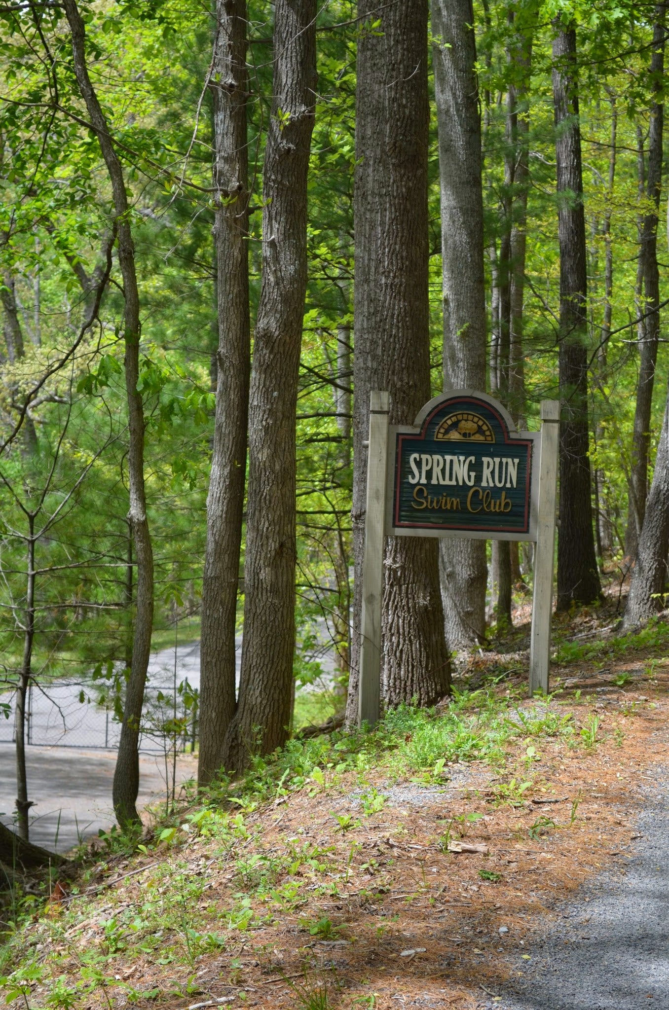 Roanoke VA Pool | Spring Run Swim Club